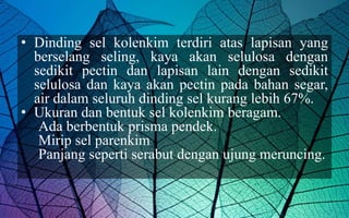 Jaringan kolenkim | PPTX