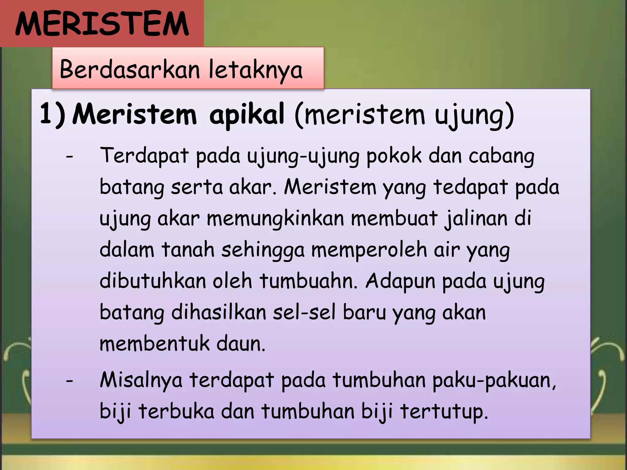 Jaringan meristem tumbuhan | PPTX