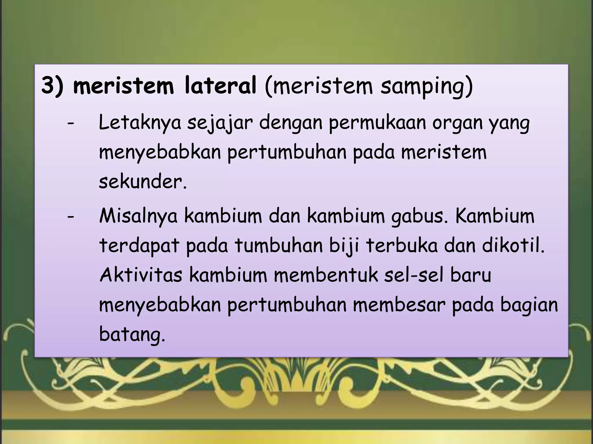 Jaringan meristem tumbuhan | PPTX