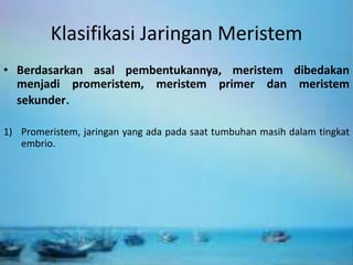 Meristem tissue that consists of undifferentiated cells capable of cell ...