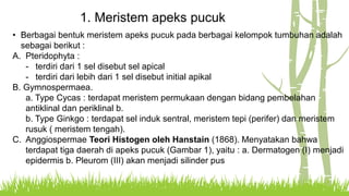 Jaringan Meristem (Revisi) Kelompok 4.pdf