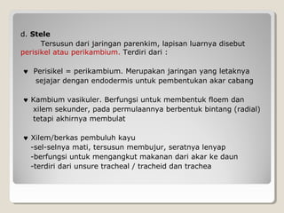 Jaringan Dan Organ Tumbuhan | PPT