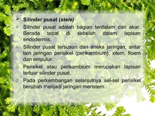 JARINGAN, ORGAN TUMBUHAN.ppt materi ini untuk mata kuliah biologi dasar ...