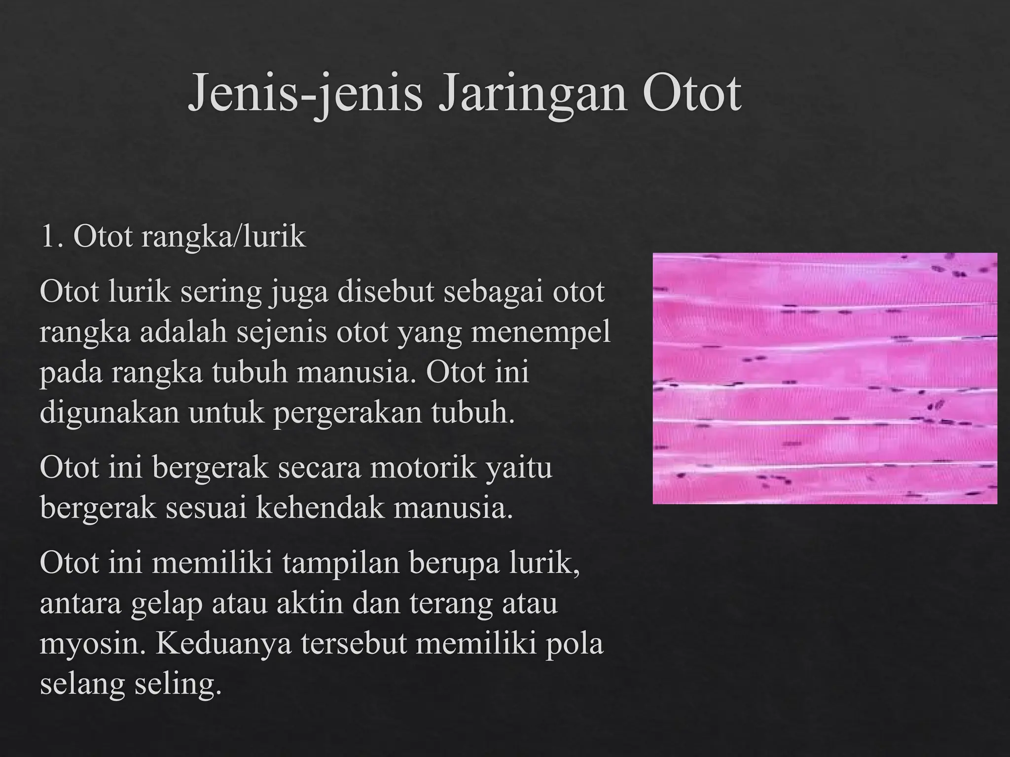 Jaringan Otot Hewan Departement Biologi UNAND | PPTX