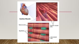 Jaringan Otot dan Jaringan Saraf MAteri Kelas XI SMA | PPTX