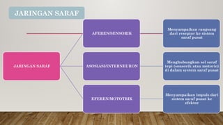 Jaringan Otot dan Jaringan Saraf MAteri Kelas XI SMA | PPTX