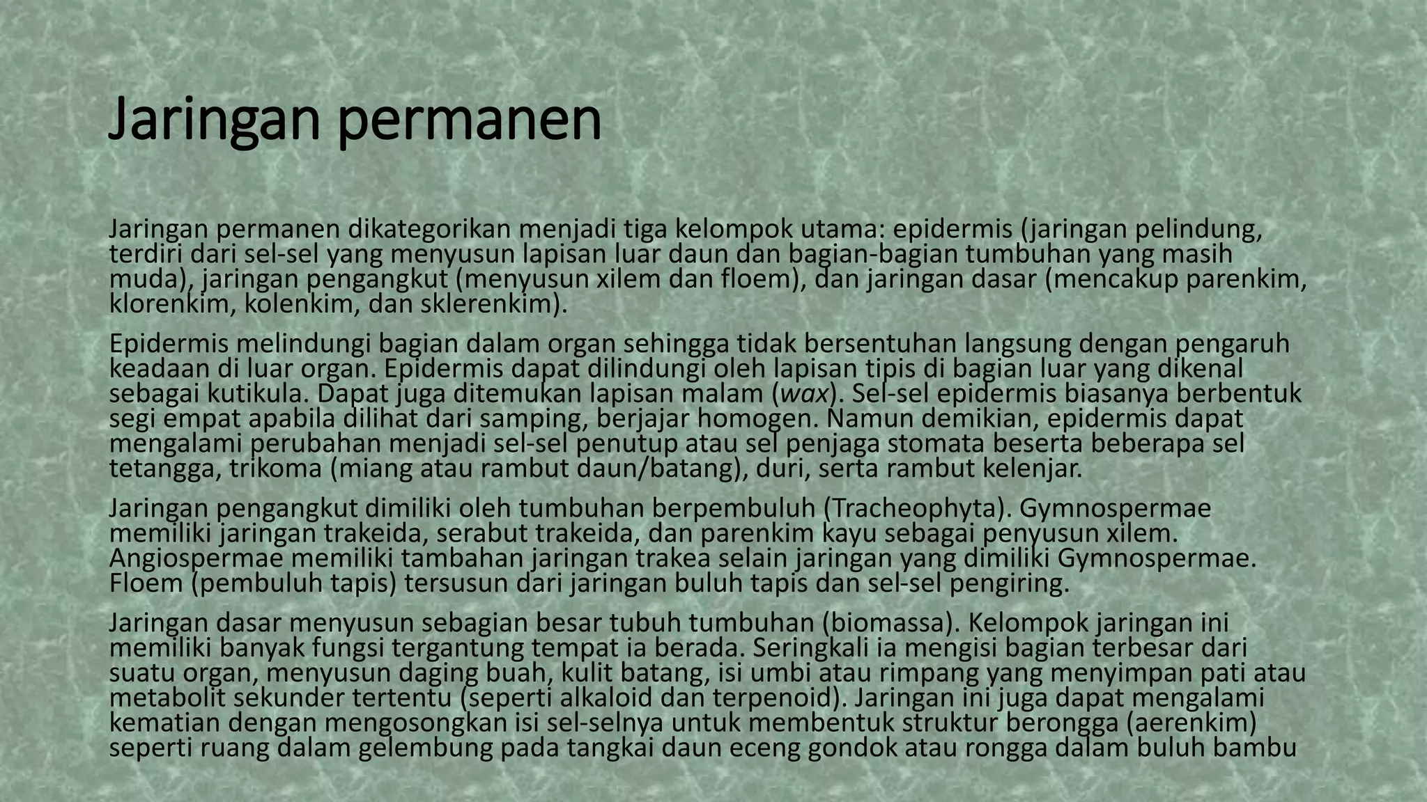 Jaringan pada hewan dan tumbuhan | PPTX