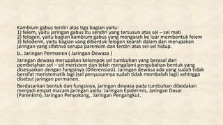 Jaringan pada hewan dan tumbuhan | PPTX