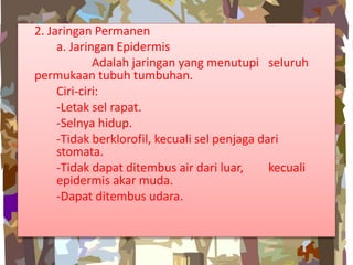 Jaringan pada tumbuhan | PPTX
