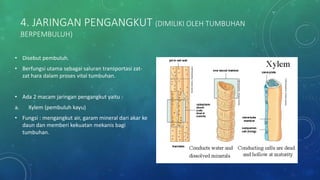 Jaringan pada tumbuhan | PPTX