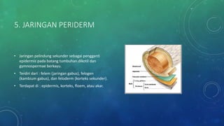 Jaringan pada tumbuhan | PPTX