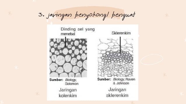 Jaringan pada Tumbuhan.pdf