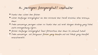 Jaringan pada Tumbuhan.pdf