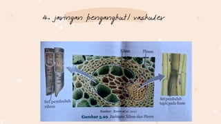 Jaringan pada Tumbuhan.pdf