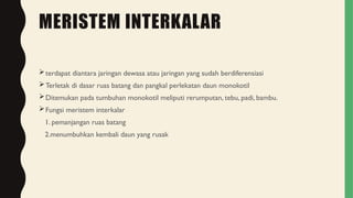 Jaringan_pada_tumbuhan-pembelajaran.pptx