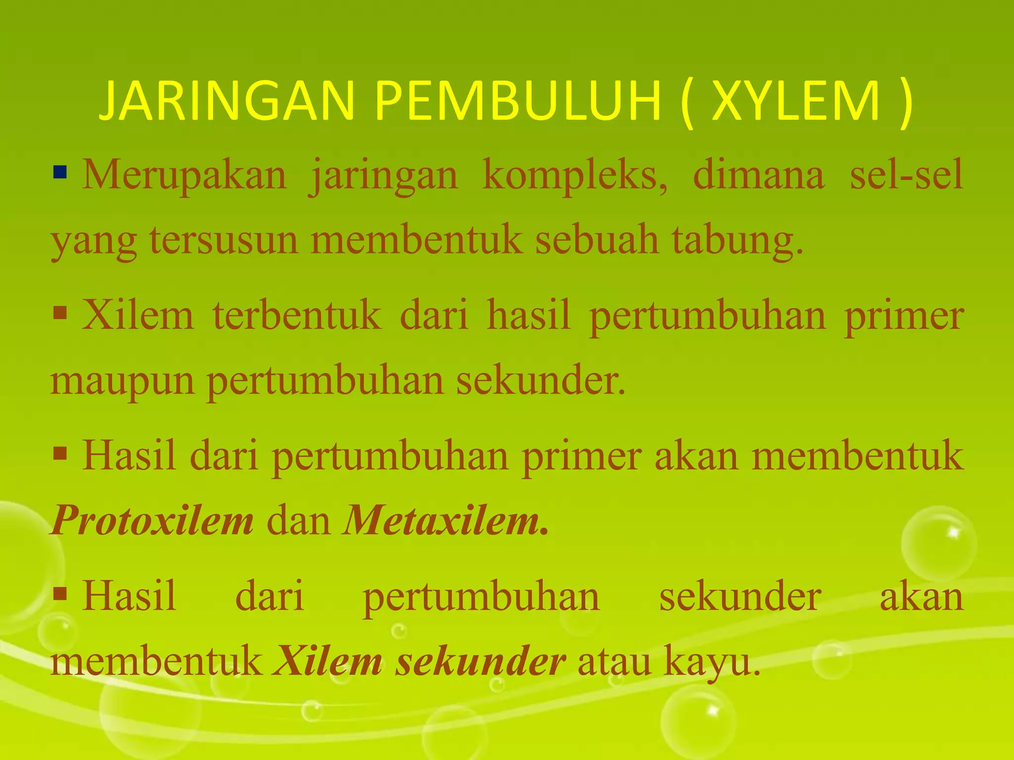 Jaringan pembuluh ( xylem ) | PPTX
