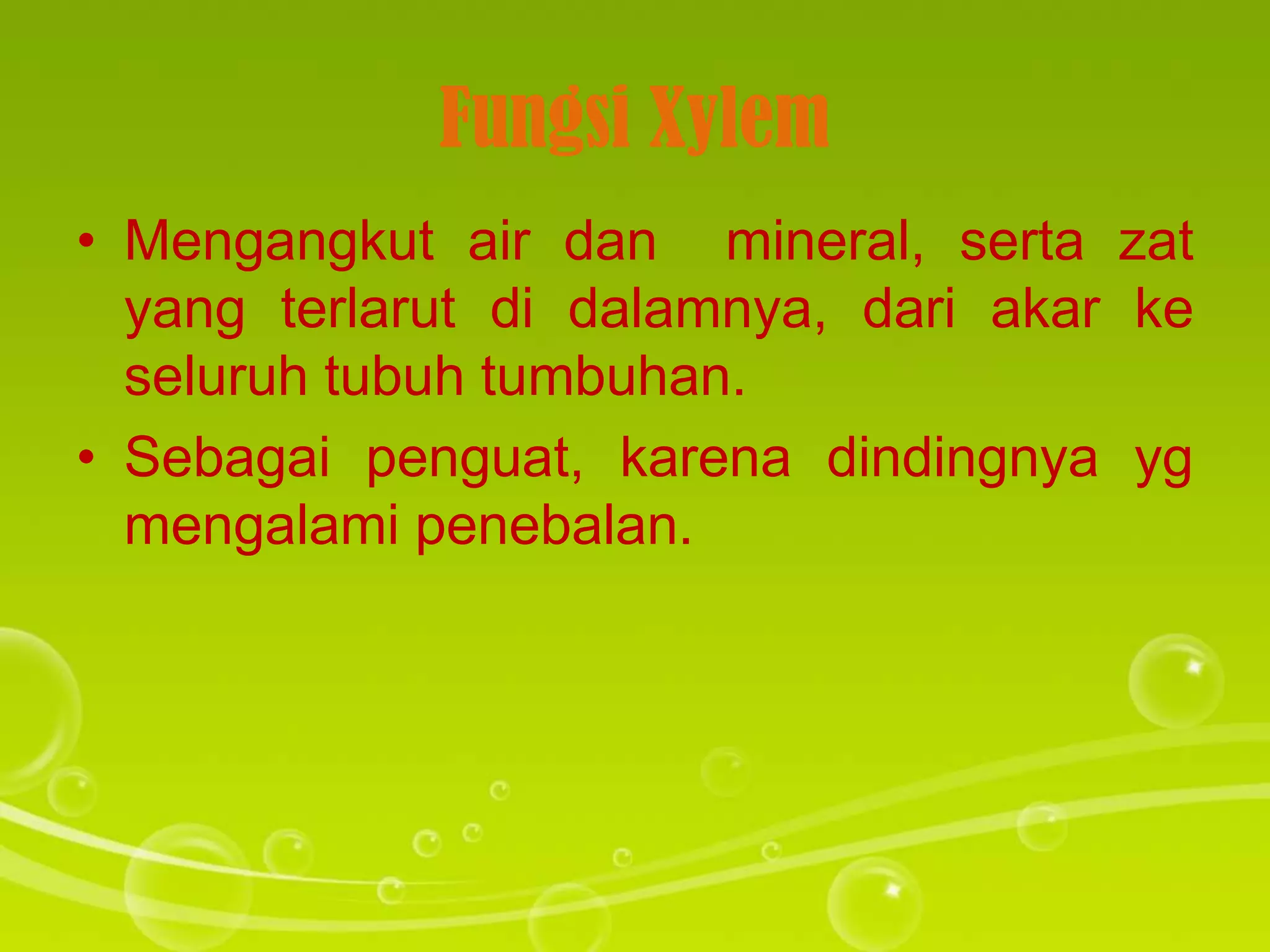 Jaringan pembuluh ( xylem ) | PPTX