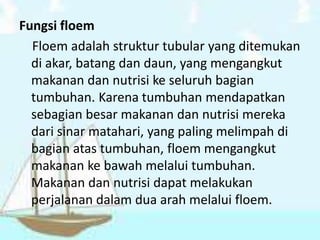 Jaringan pengangkut | PPTX