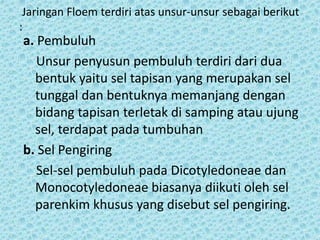 Jaringan pengangkut | PPTX