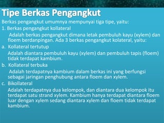 Jaringan pengangkut | PPTX