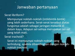 Jaringan pengangkut | PPTX