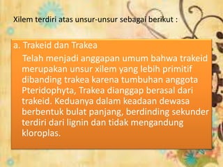 Jaringan pengangkut | PPTX