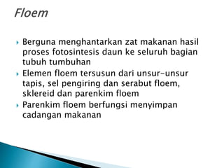 Jaringan pengangkut | PPTX