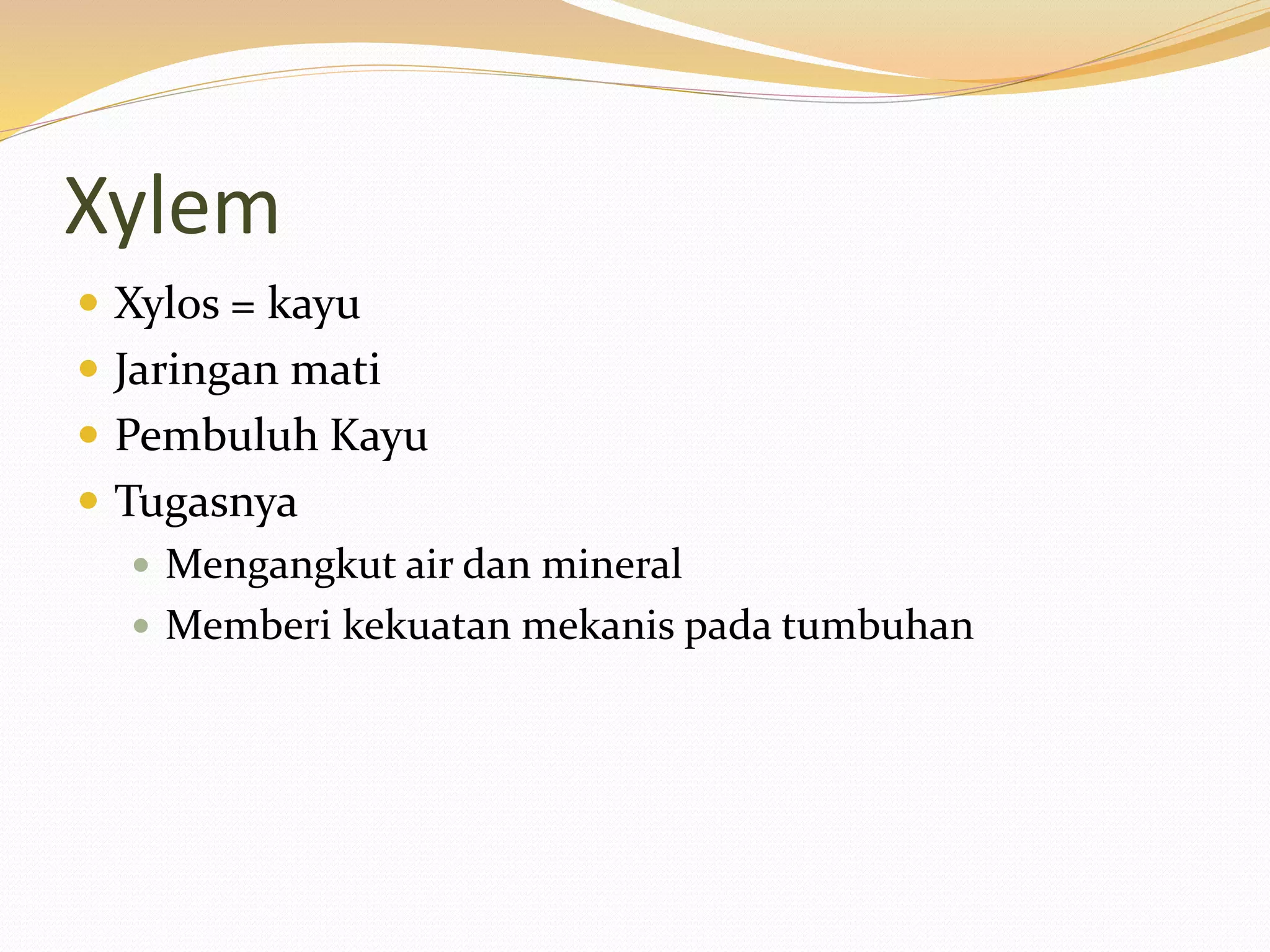 Jaringan Pengangkut Biologi | PPTX