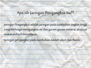 Presentasi Jaringan Pengangkut (Vaskuler) | PPTX