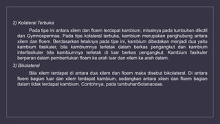 Jaringan Pengangkut Tumbuhan | PPTX