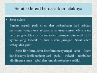Jaringan Penyokong Pada Tumbuhan | PPTX