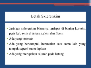 Jaringan Penyokong Pada Tumbuhan | PPTX