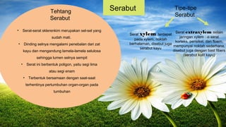 JARINGAN PENYOKONG TUMBUHAN BIOLOGI MISA VLKRN | PPT