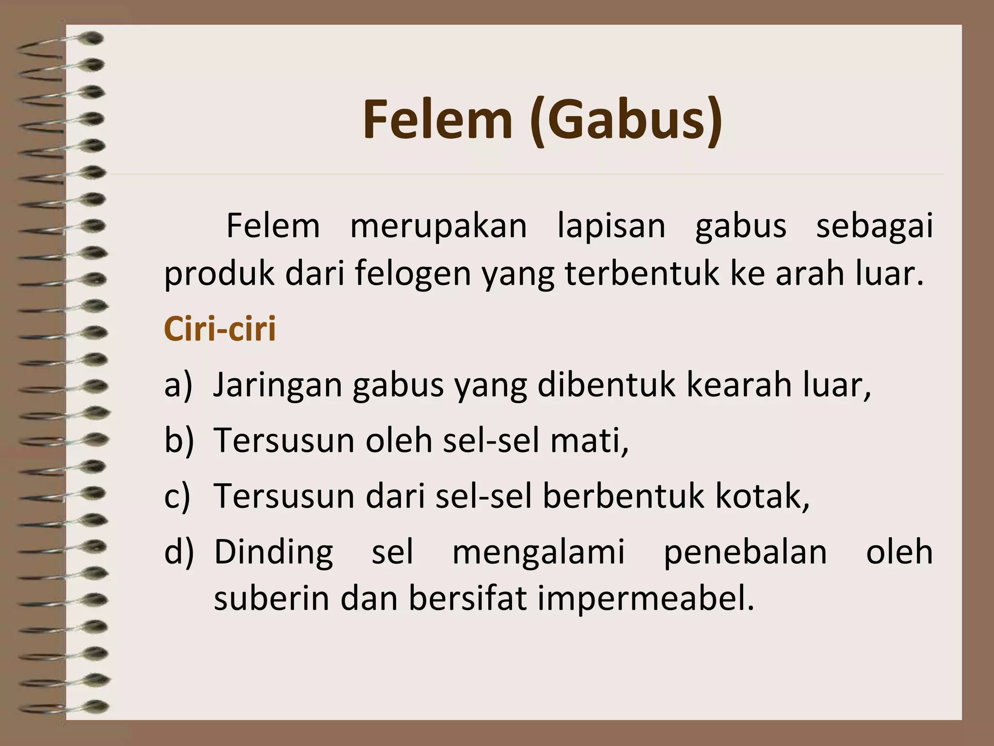 Jaringan periderm | PPTX