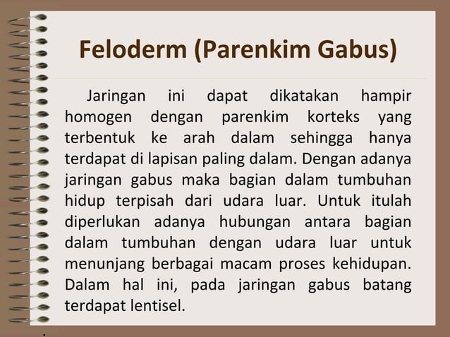 Jaringan periderm | PPTX