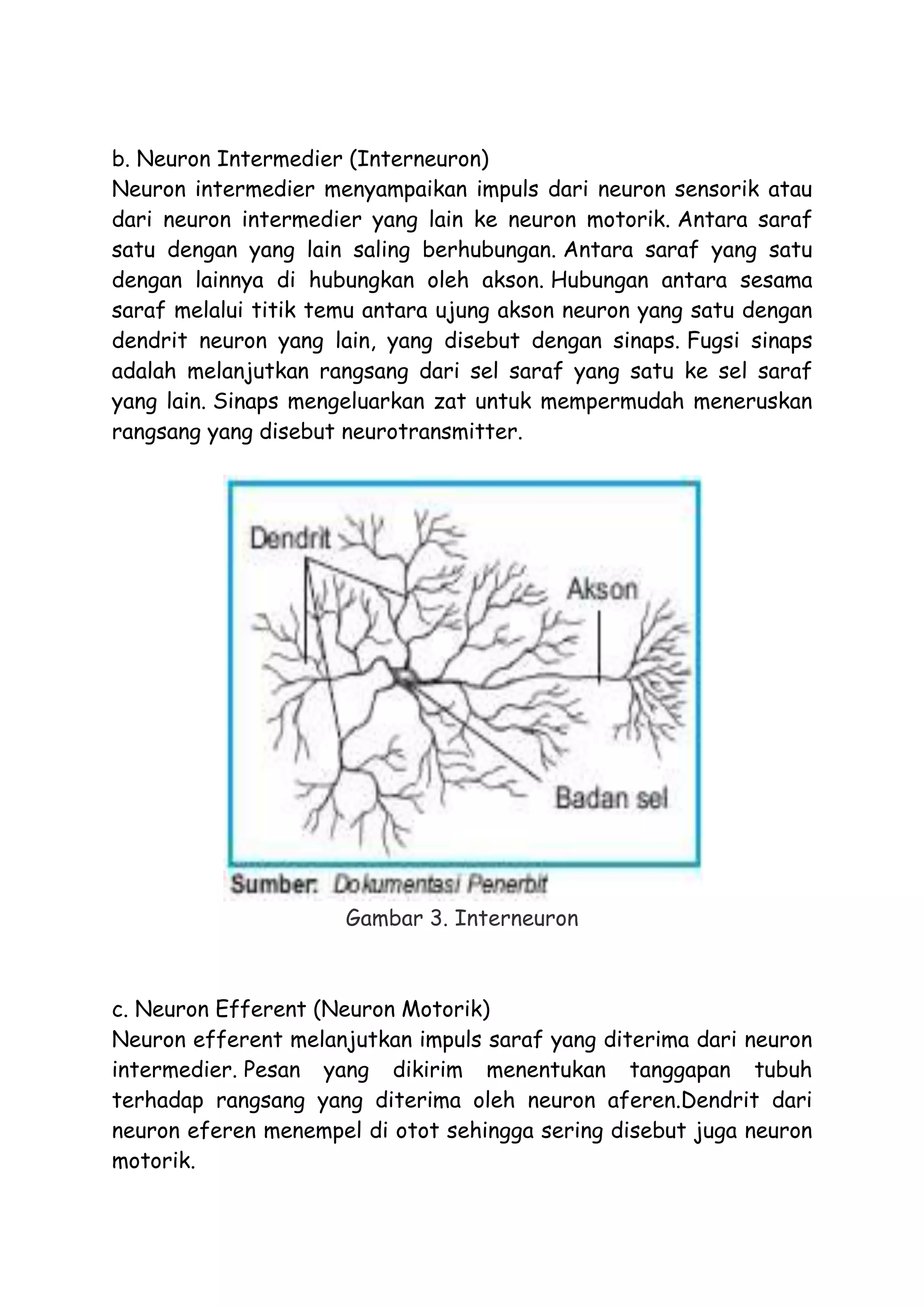 Jaringan saraf | PDF