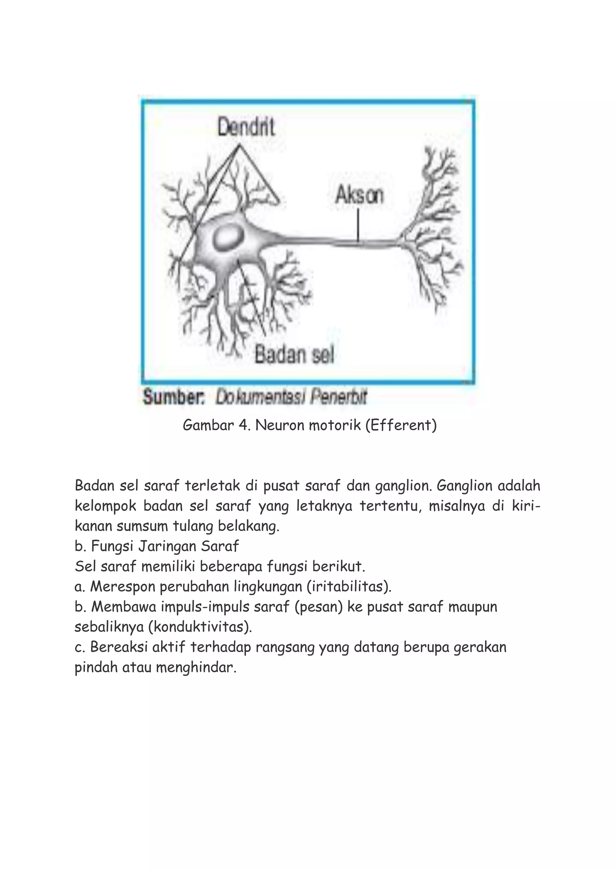 Jaringan saraf | PDF