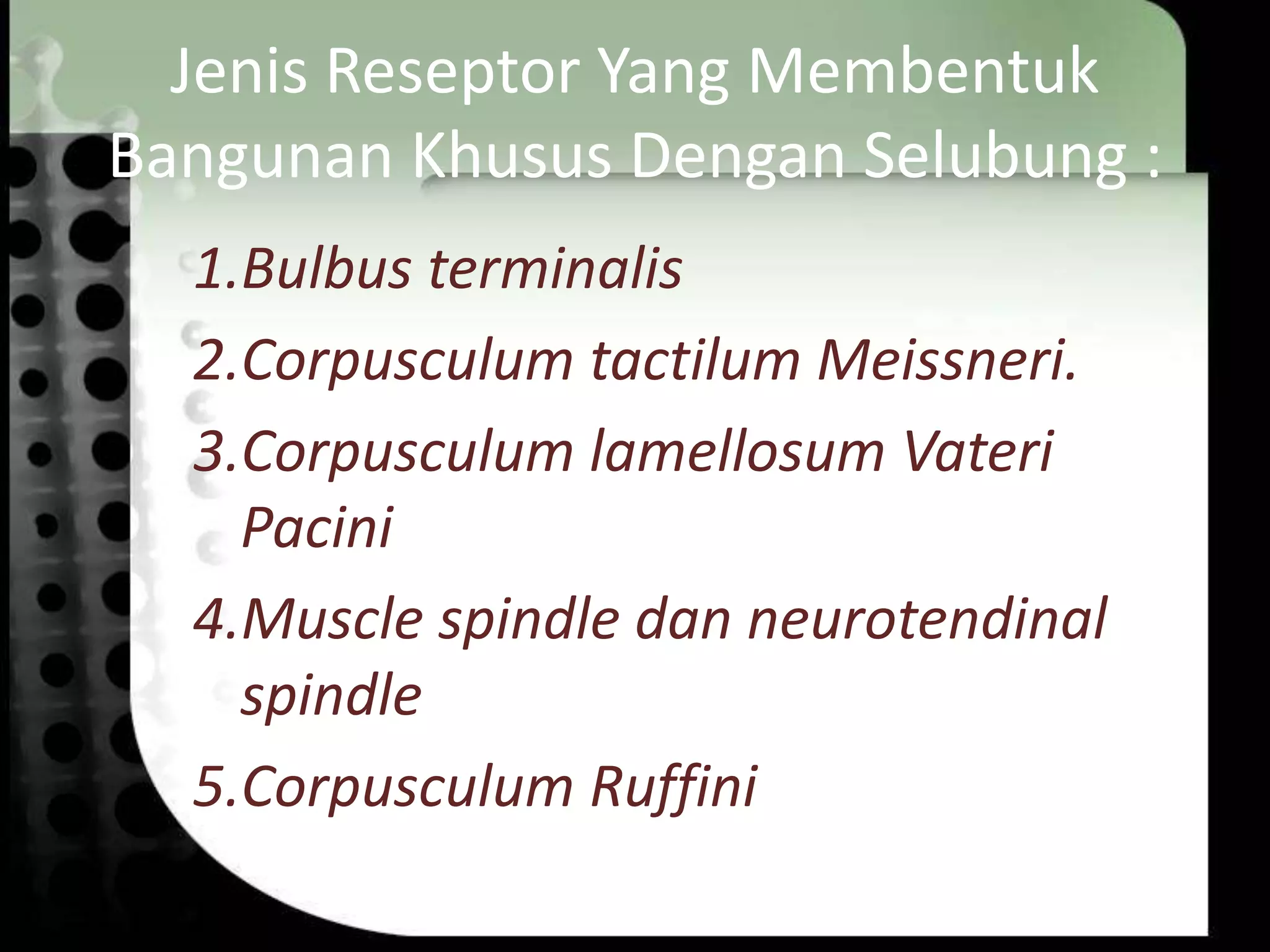 NERVOUS SYSTEM | PPTX