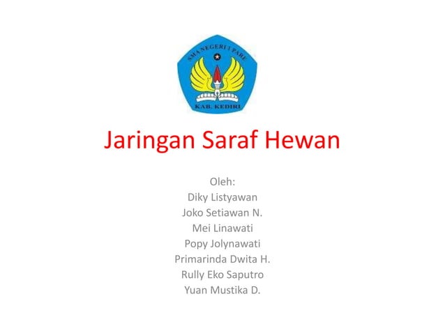 Jaringan saraf hewan (2) | PPTX