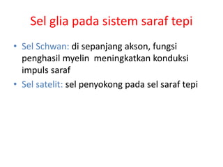 Jaringan saraf hewan (2) | PPTX