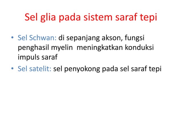 Jaringan saraf hewan (2) | PPTX