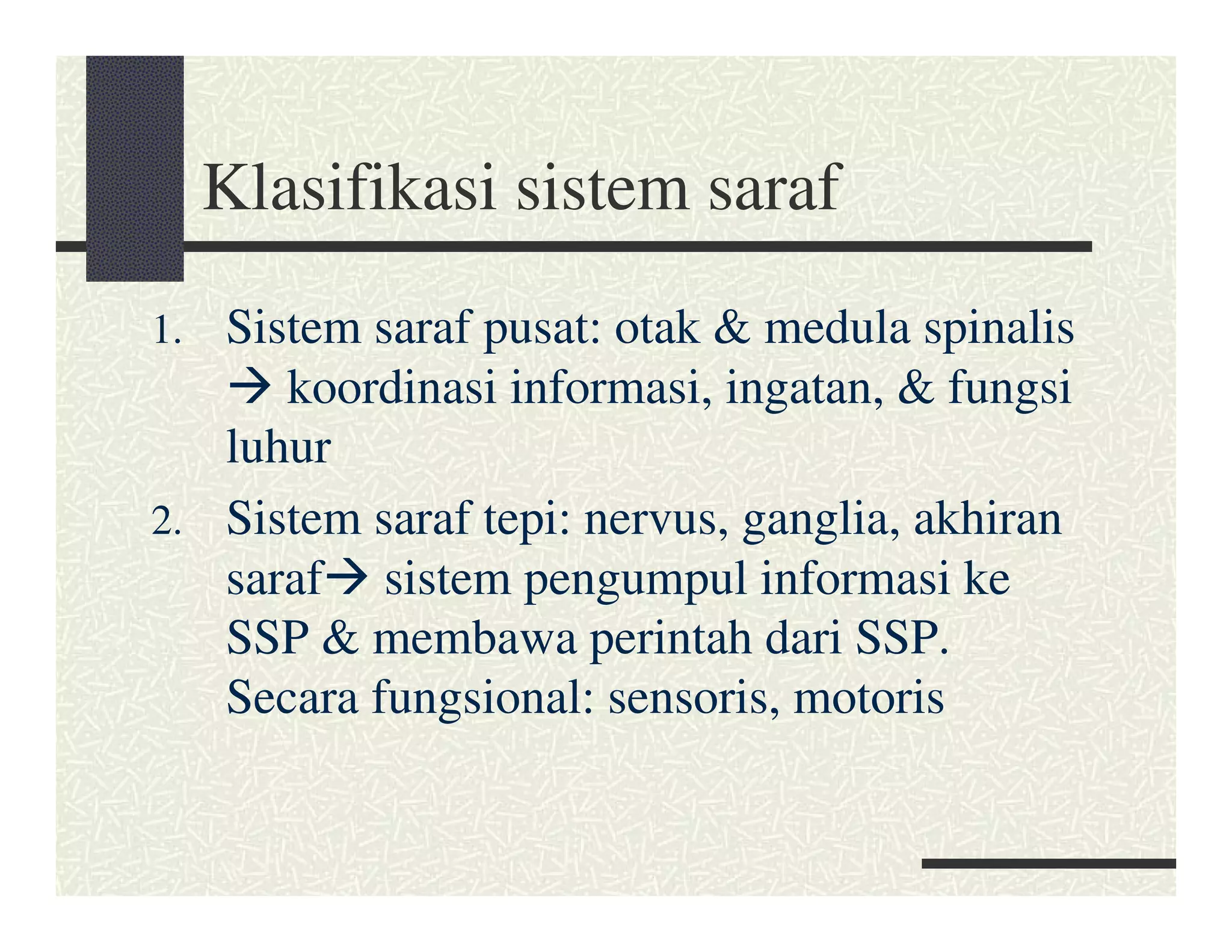 Jaringan_Saraf kelompok 4.pdf