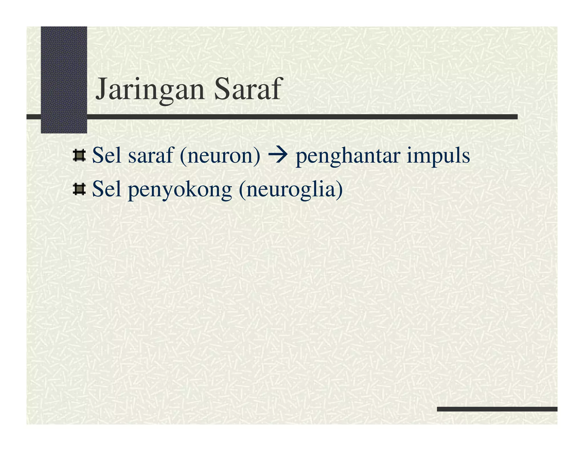 Jaringan_Saraf kelompok 4.pdf
