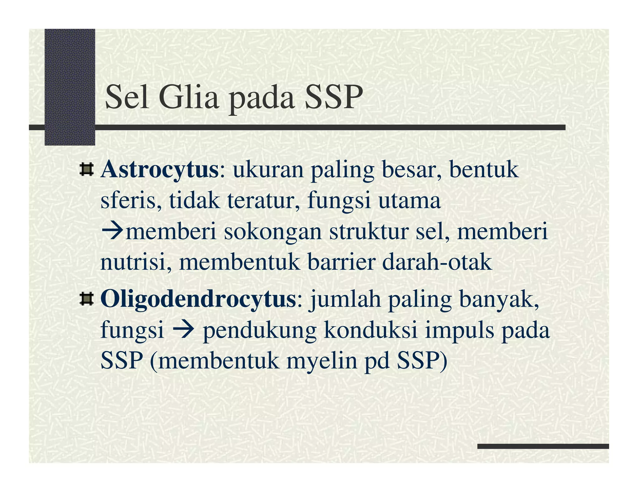Jaringan_Saraf kelompok 4.pdf