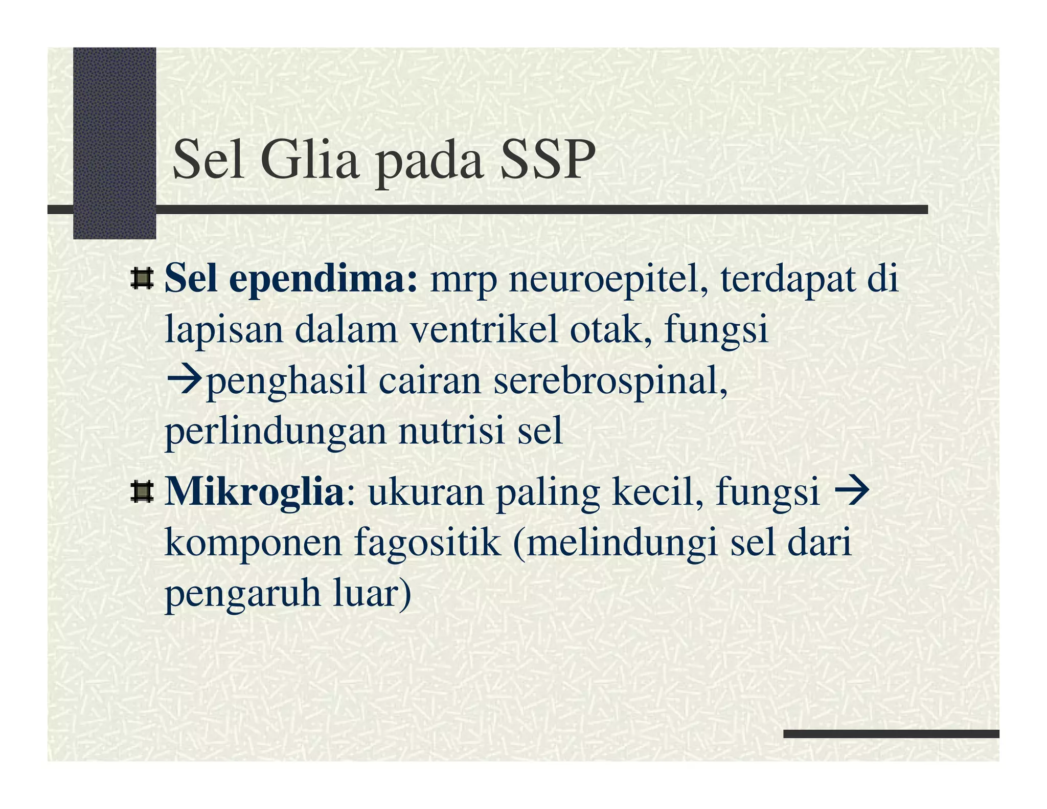 Jaringan_Saraf kelompok 4.pdf