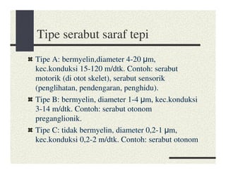Jaringan_Saraf kelompok 4.pdf