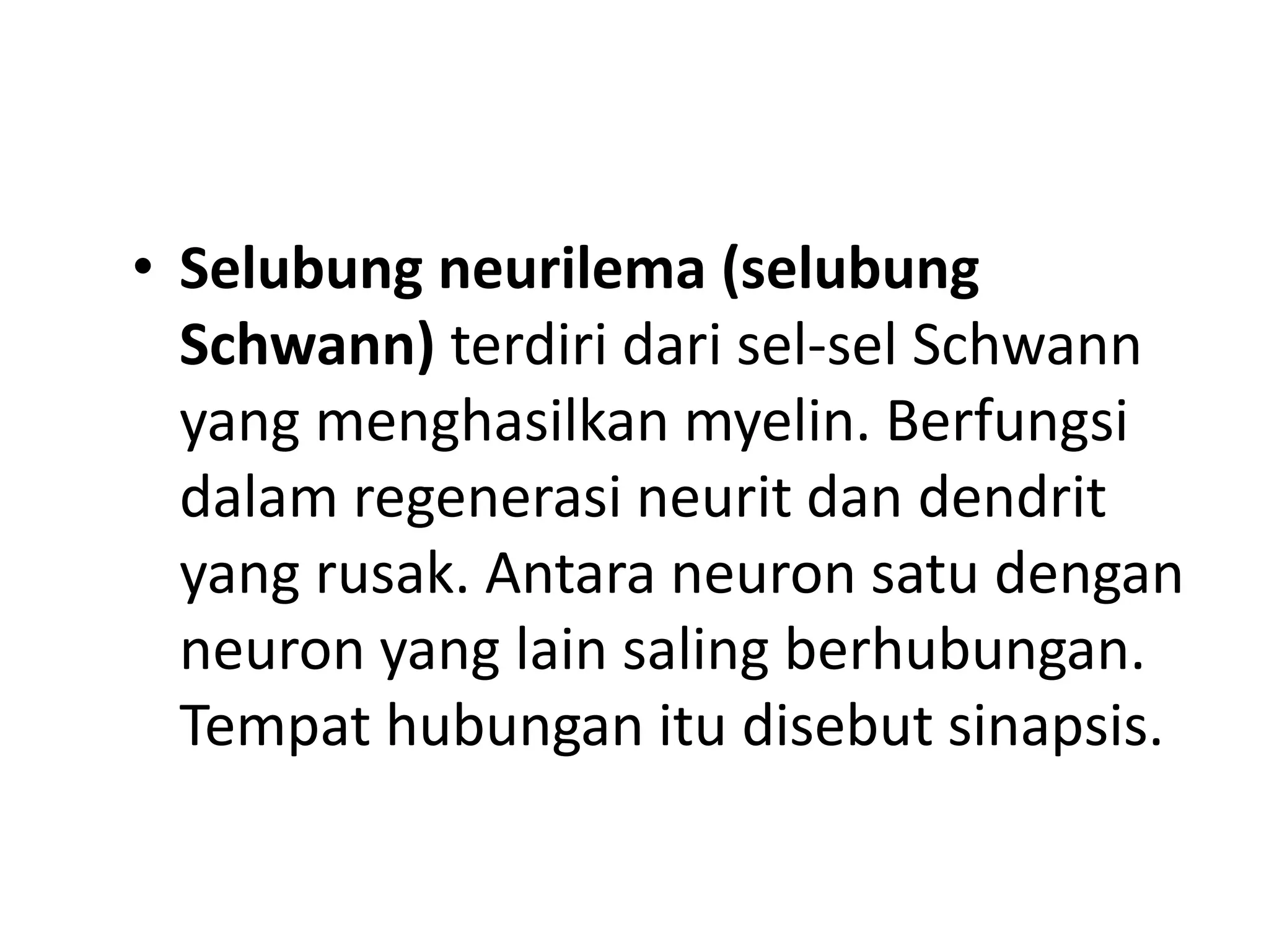 Jaringan saraf pada hewan | PPTX