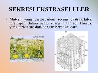 Sekresi | PPTX