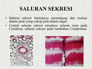 Sekresi | PPTX