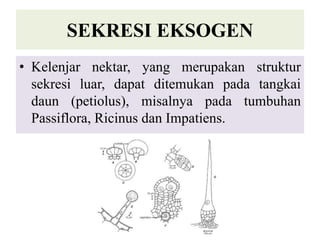 Sekresi | PPTX